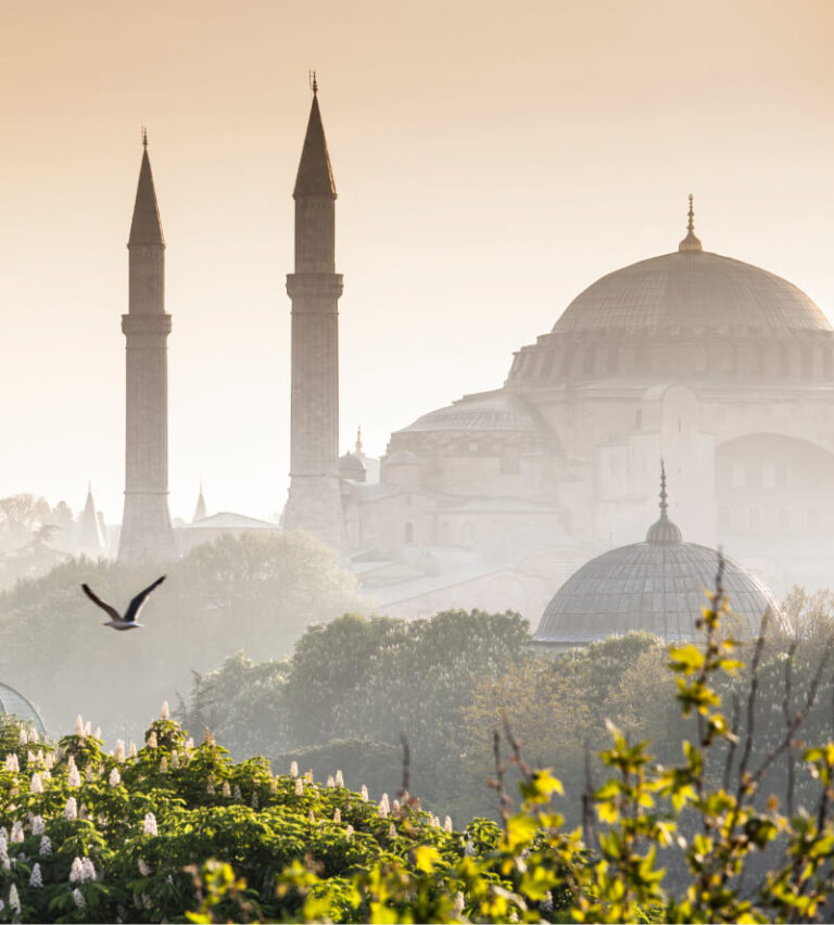 Veneers in Turkey - Cosmedica Dental Clinic